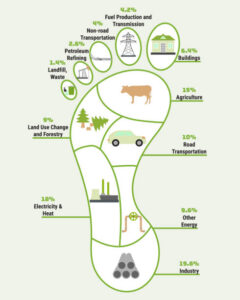 What Is My Carbon Footprint? | Blog